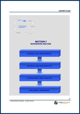 EXPORT PLAN - Template and Example | PDF