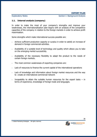 EXPORT PLAN - Template and Example | PDF