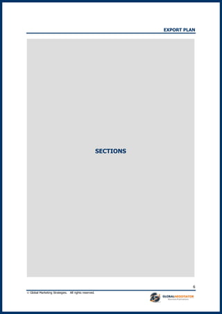 EXPORT PLAN - Template and Example | PDF