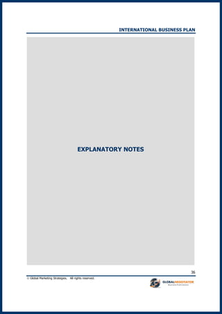 INTERNATIONAL BUSINESS PLAN FOR COMPANIES | PDF