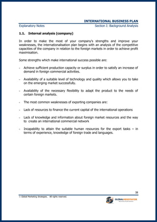 INTERNATIONAL BUSINESS PLAN FOR COMPANIES | PDF