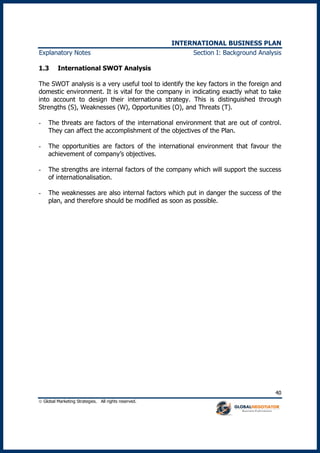 INTERNATIONAL BUSINESS PLAN FOR COMPANIES | PDF