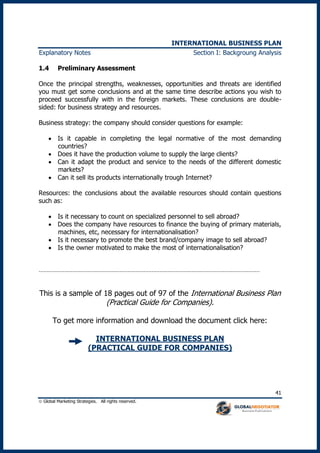 INTERNATIONAL BUSINESS PLAN FOR COMPANIES | PDF