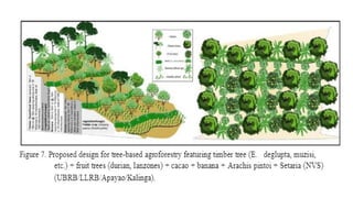 Sample-Plan-and-Design-for-Agroforestry-Farm.pptx