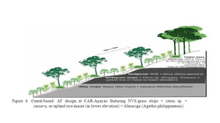 Sample-Plan-and-Design-for-Agroforestry-Farm.pptx
