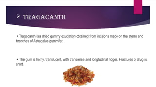 tragacanth brief introduction and the overview | PPT