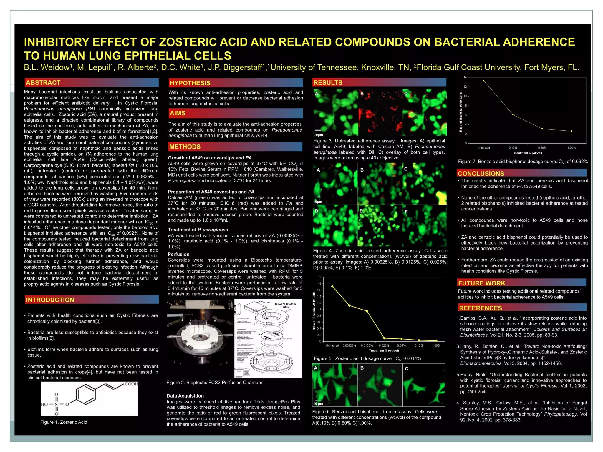 Sample academic posters | PPT