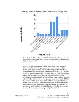 Sample Advanced Wound Care Market Landscape proposal | PDF