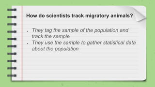 Sample and population.pptx