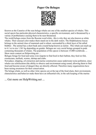 Sample Argumentative Essay On Social Media | PDF