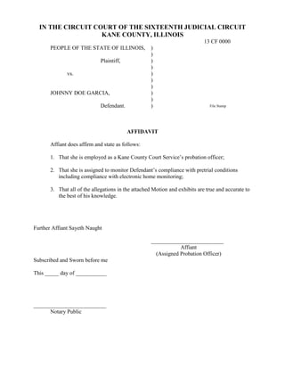 Sample Bail Bond Related Criminal Law Motions | PDF