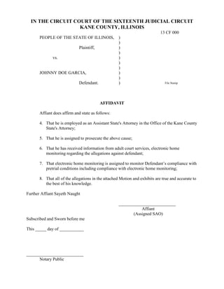 Sample Bail Bond Related Criminal Law Motions | PDF