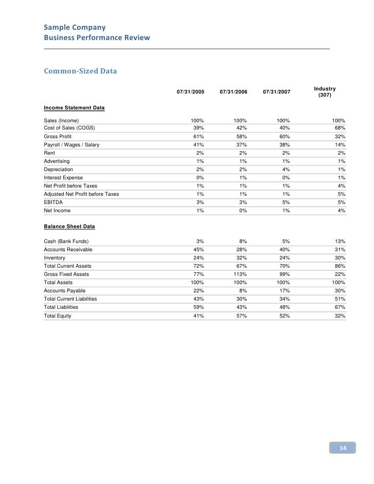 Sample Business Performance Review 2 2009 3