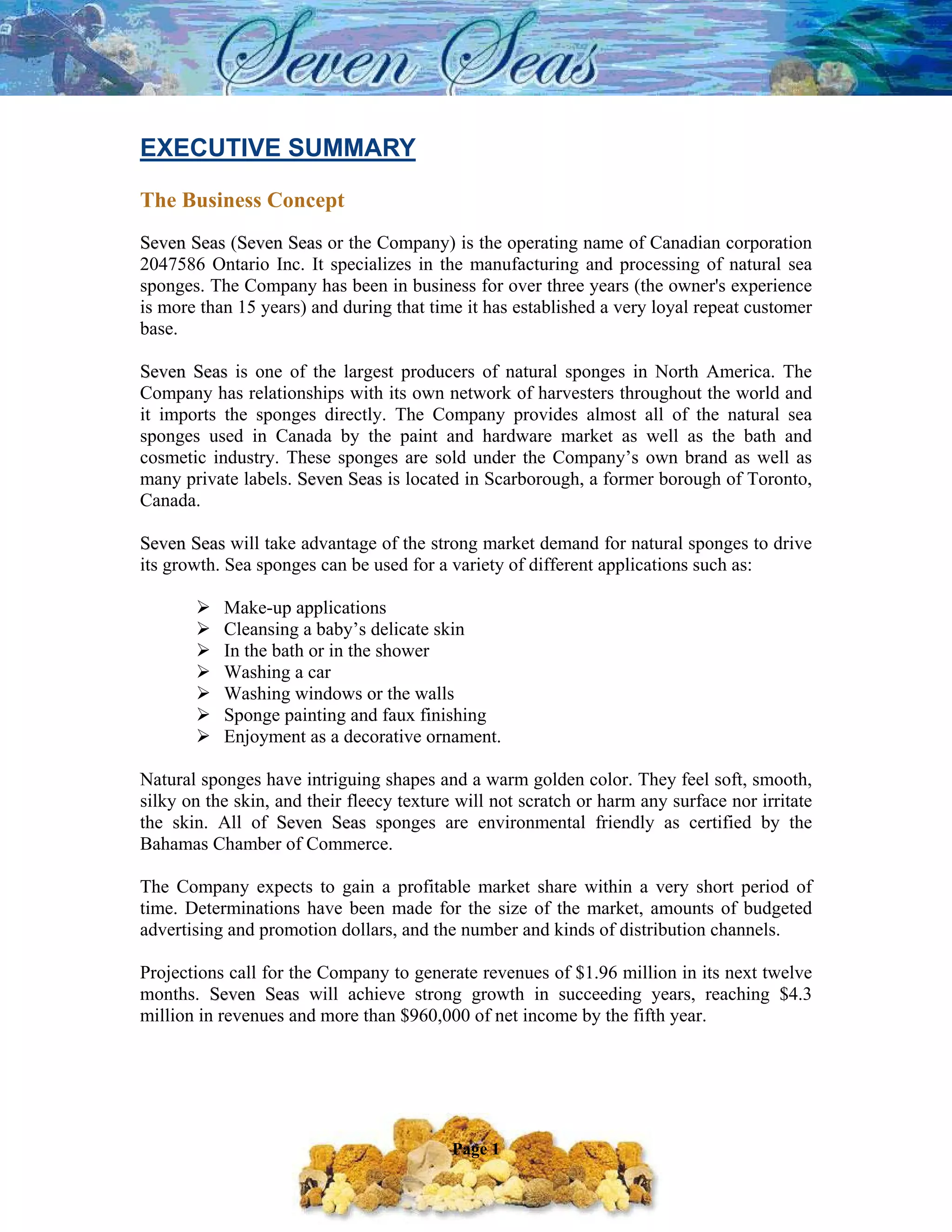 Sample Business Plan 2 | PDF