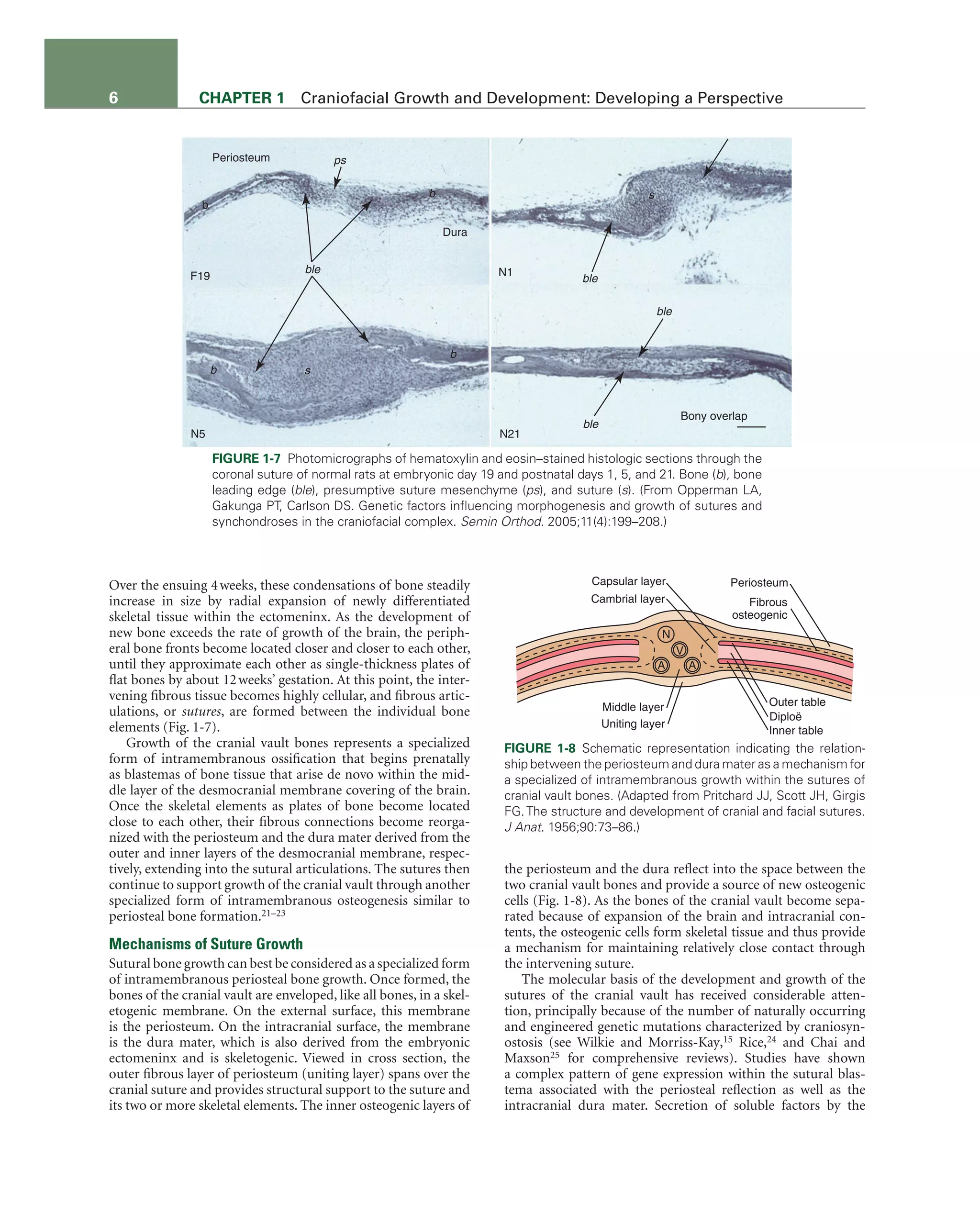 Sample Chapter 9788131246979 Orthodontics Current Principles and ...