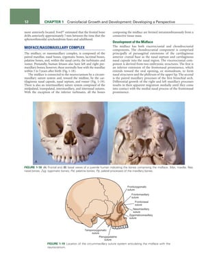 Sample Chapter 9788131246979 Orthodontics Current Principles and ...