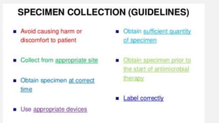 Sample collection | PPT