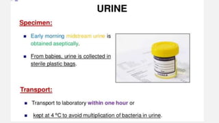 Sample collection | PPT