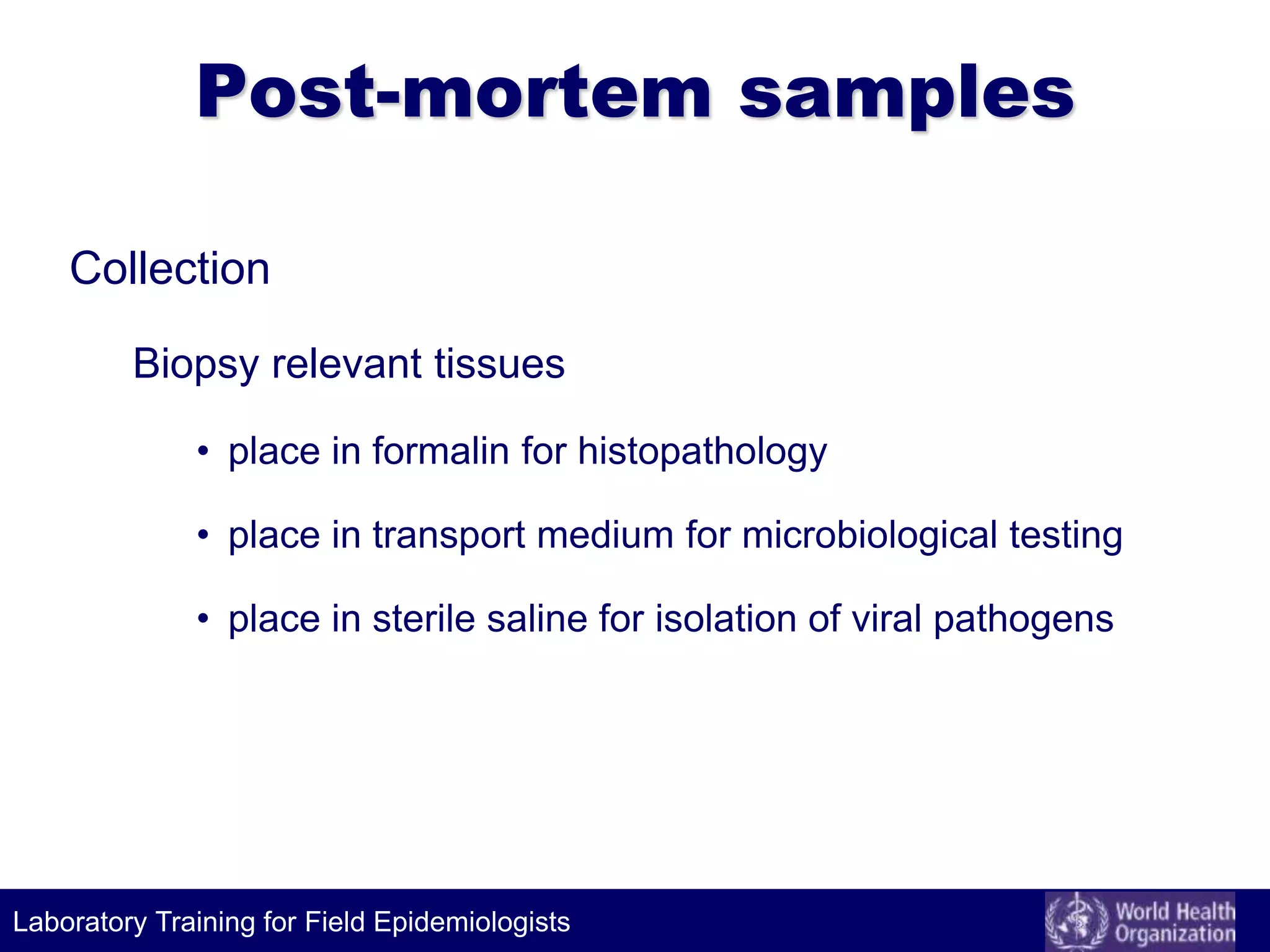 samplecollection.ppt