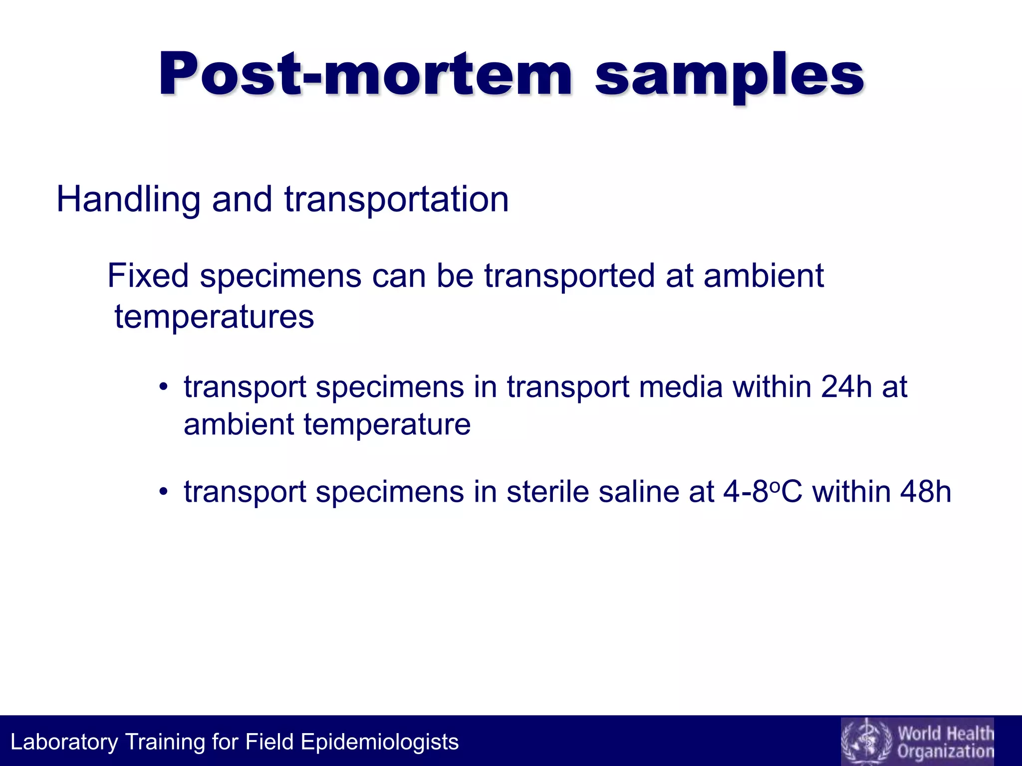 samplecollection.ppt