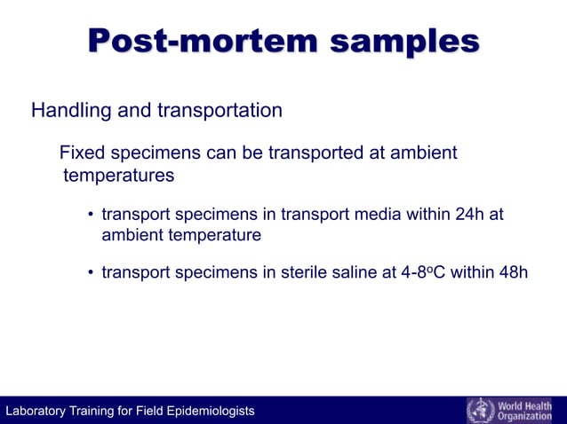 samplecollection.ppt