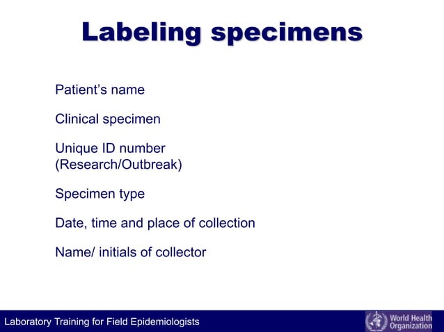 samplecollection.ppt