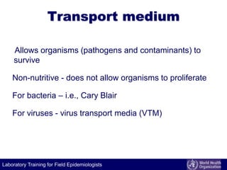 samplecollection.ppt