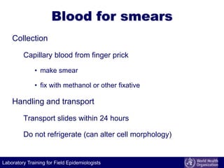 samplecollection.ppt