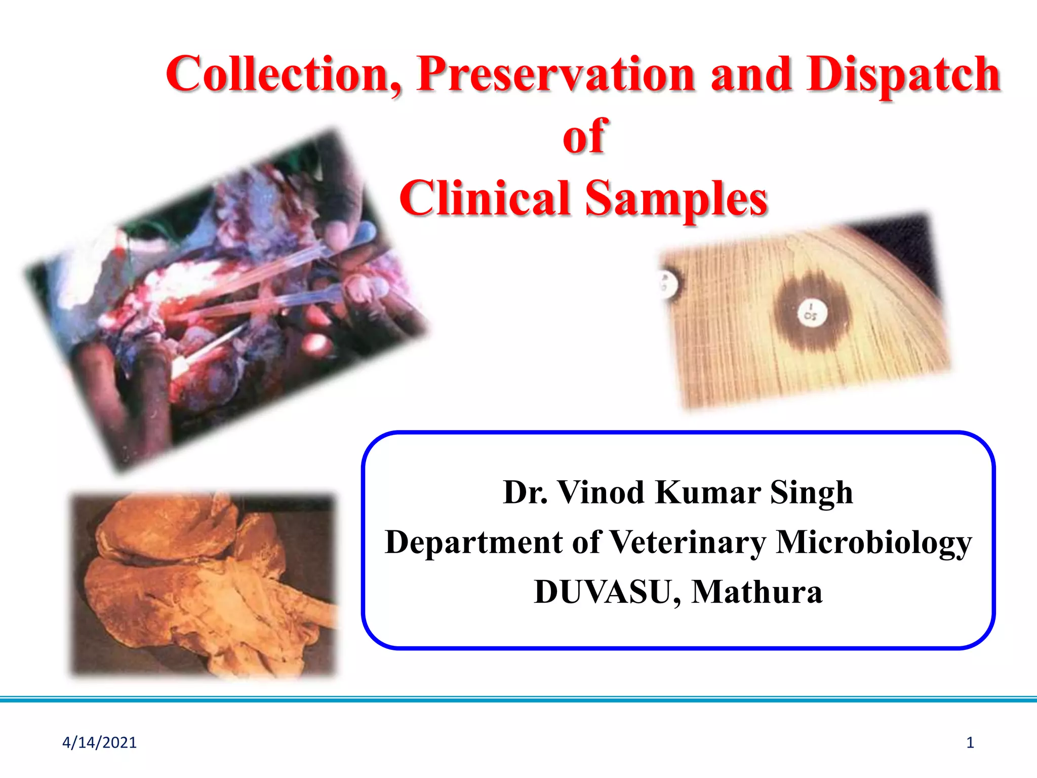 Collection, Preservation and Dispatch of Clinical Samples | PPTX