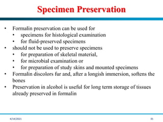 Collection, Preservation and Dispatch of Clinical Samples | PPTX