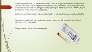 Urine Sample Collection, Transport & Microbiological Processing: A Step ...