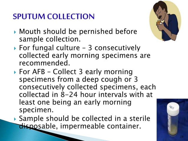 sample collection and safety.pdf