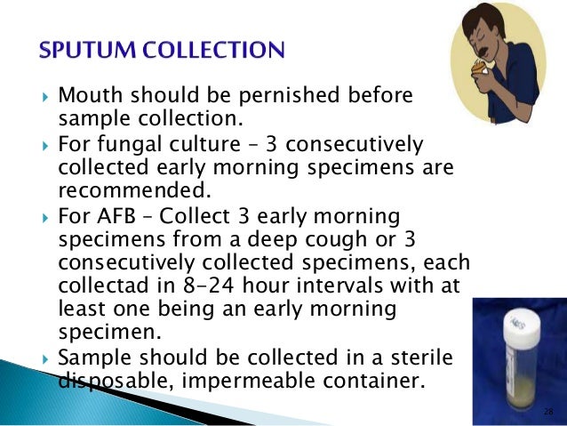 Specimen Collection Procedure