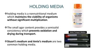 Sample collection and transport ppt 1234 | PPTX