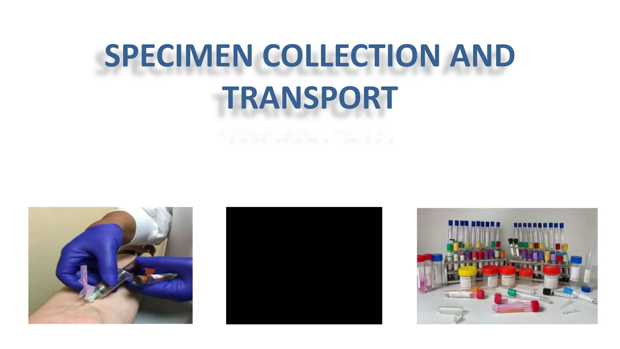 Sample collection and transport ppt (3).pptx