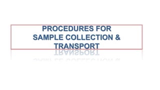 Sample collection and transport ppt (3).pptx