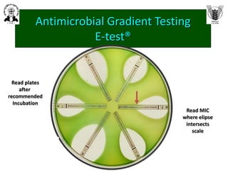 Sample collection for bacterial isolation, characterization and ...