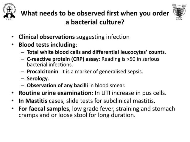 Sample Collection For Bacterial Isolation Characterization And