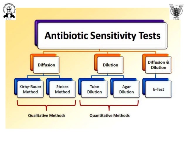 Sample Collection For Bacterial Isolation Characterization And Antib