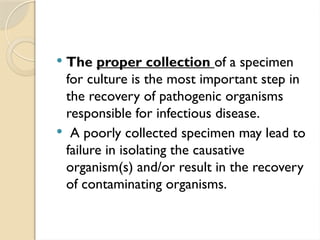 The proper collection of a specimen for Microbiology culture | PPTX