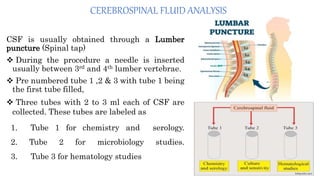 sample collection in clinical biochemistry | PPTX