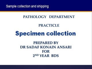 Sample collection practicle | PPTX