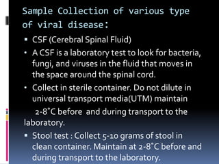 Sample Collection Procedure Ppt.pptx