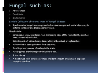 Sample Collection Procedure Ppt.pptx