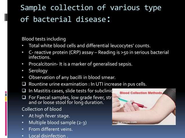 Sample Collection Procedure Ppt.pdf