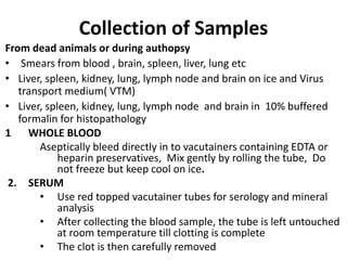 Sample collection, Storage III.ppt