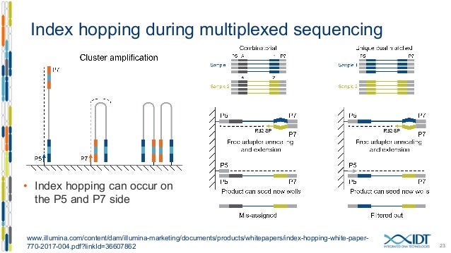 Unique, dual-matched adapters mitigate index hopping between NGS samp…