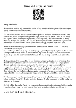 Sample Essay About Volunteer Work | PDF