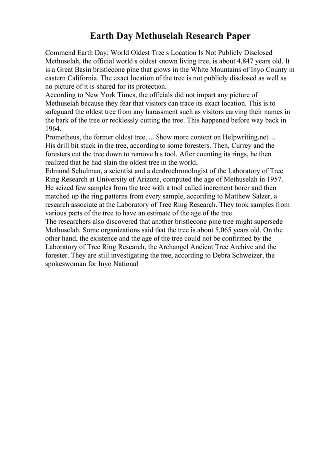 Sample Essay For Internship Application. Business paper: Internship ...