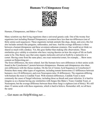 Sample Essay Form 5 Report | PDF